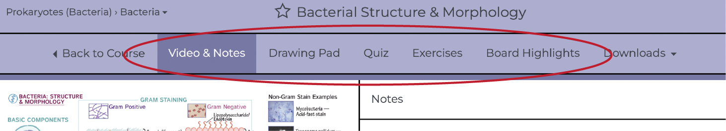 FAQ: Where do I start? | ditki medical & biological sciences