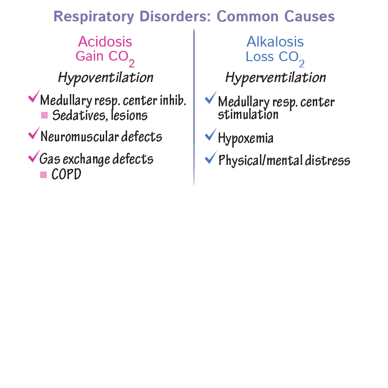 Physiology Glossary: Acidosis & Alkalosis - Causes and Compensations ...
