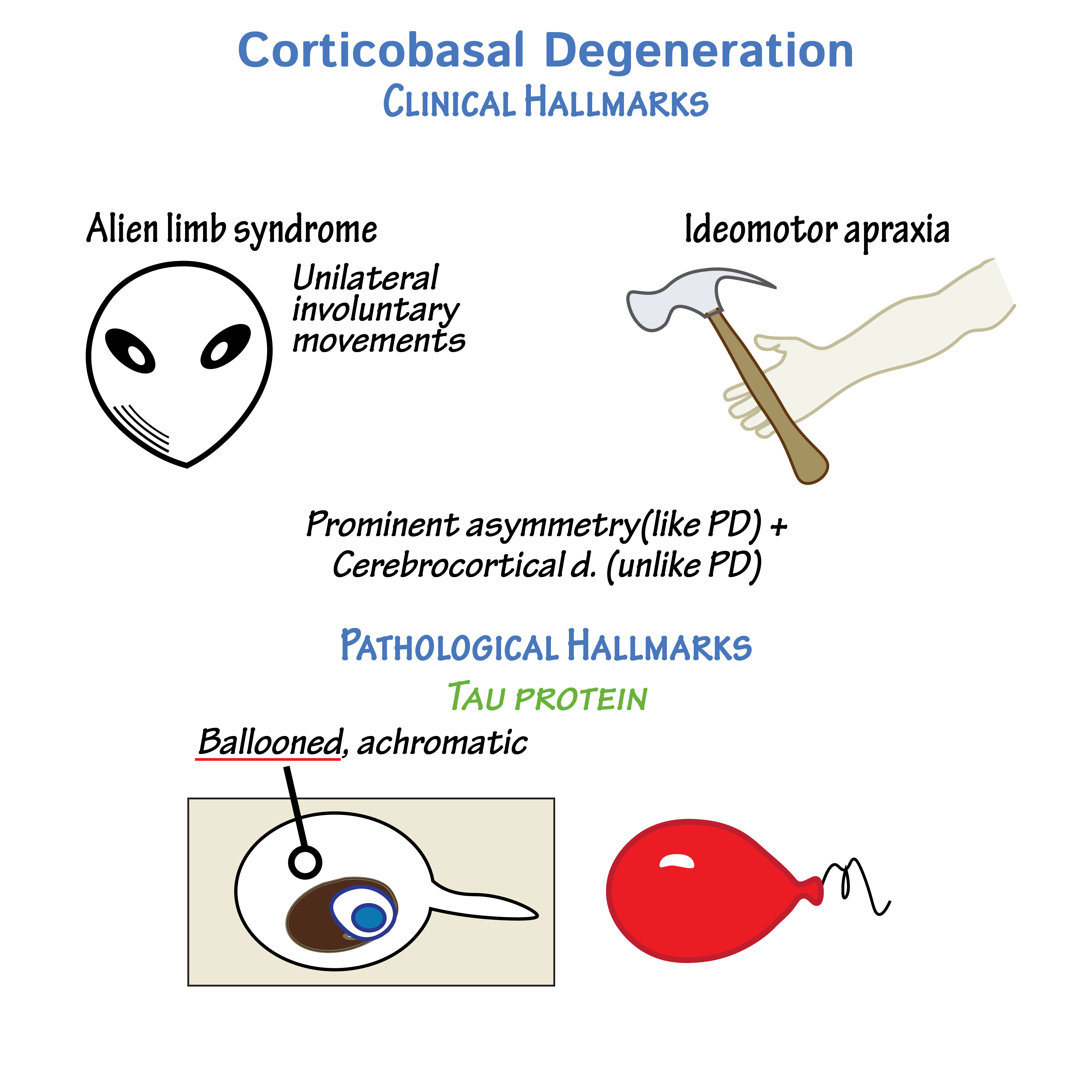 Neuroanatomy Glossary: Corticobasal Degeneration | ditki medical & biological sciences