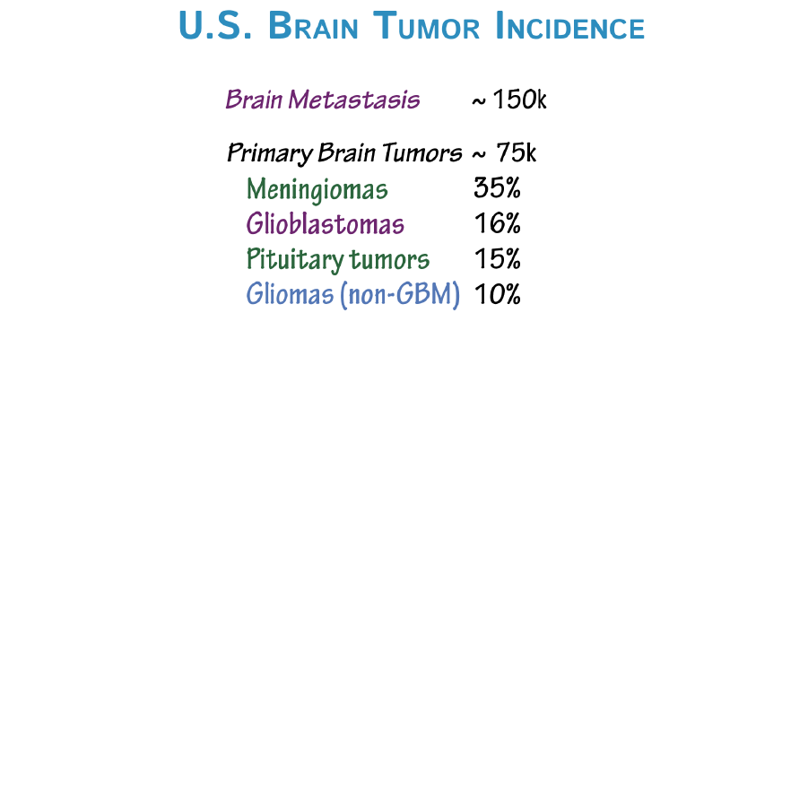 Neuroanatomy Glossary: Common Brain Tumors | ditki medical & biological ...