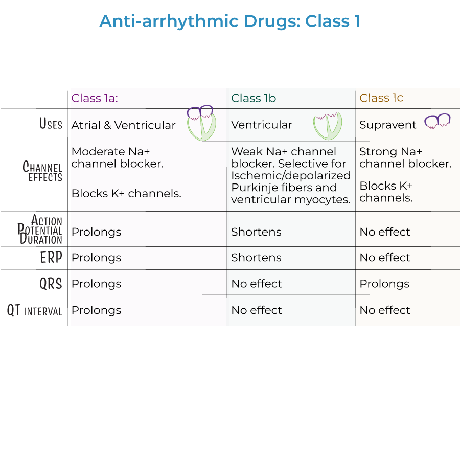 Clinical Pharmacology Glossary: Anti-arrhythmic Drugs: Class I | ditki medical & biological sciences