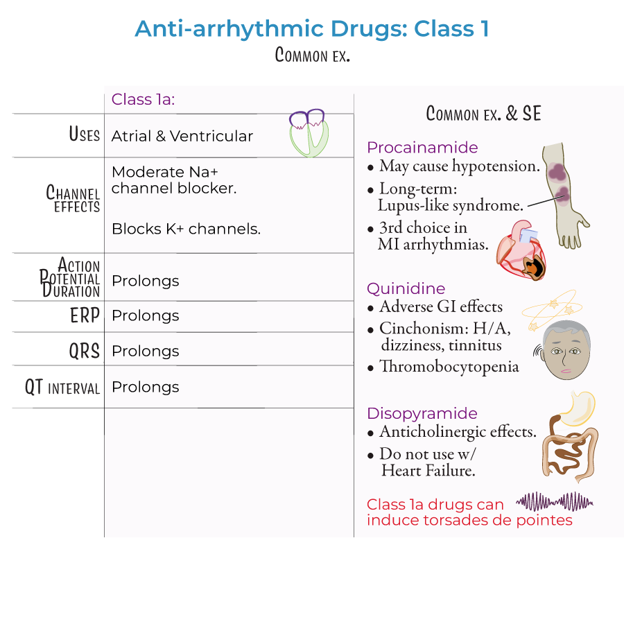 Clinical Pharmacology Glossary: Anti-arrhythmic Drugs: Class I | ditki medical & biological sciences