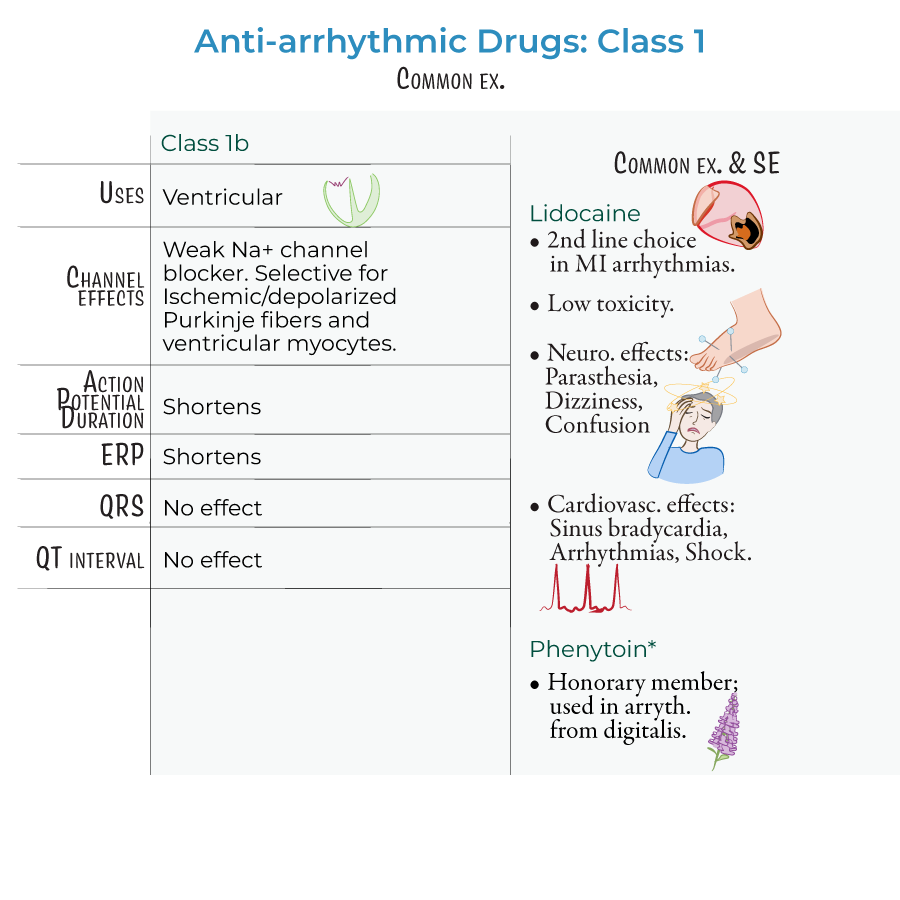 Clinical Pharmacology Glossary: Anti-arrhythmic Drugs: Class I | ditki medical & biological sciences