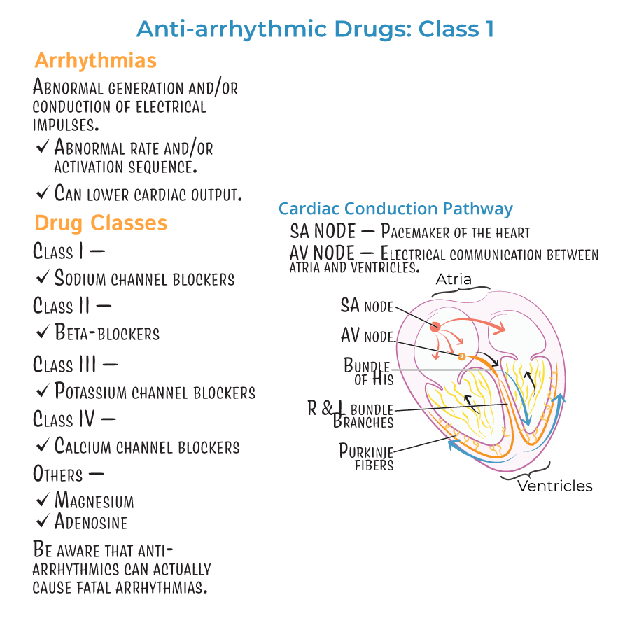 Clinical Pharmacology Glossary: Anti-arrhythmic Drugs: Class I | ditki medical & biological sciences