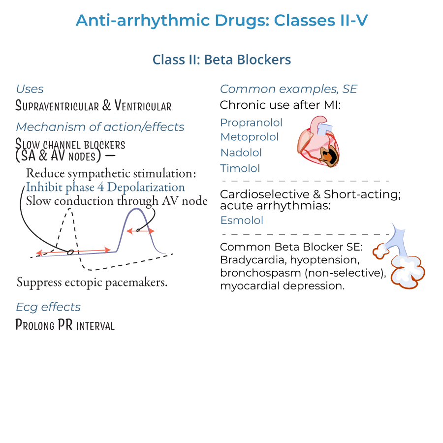 Clinical Pharmacology Glossary: Anti-arrhythmic Drugs: Class II | ditki medical & biological ...