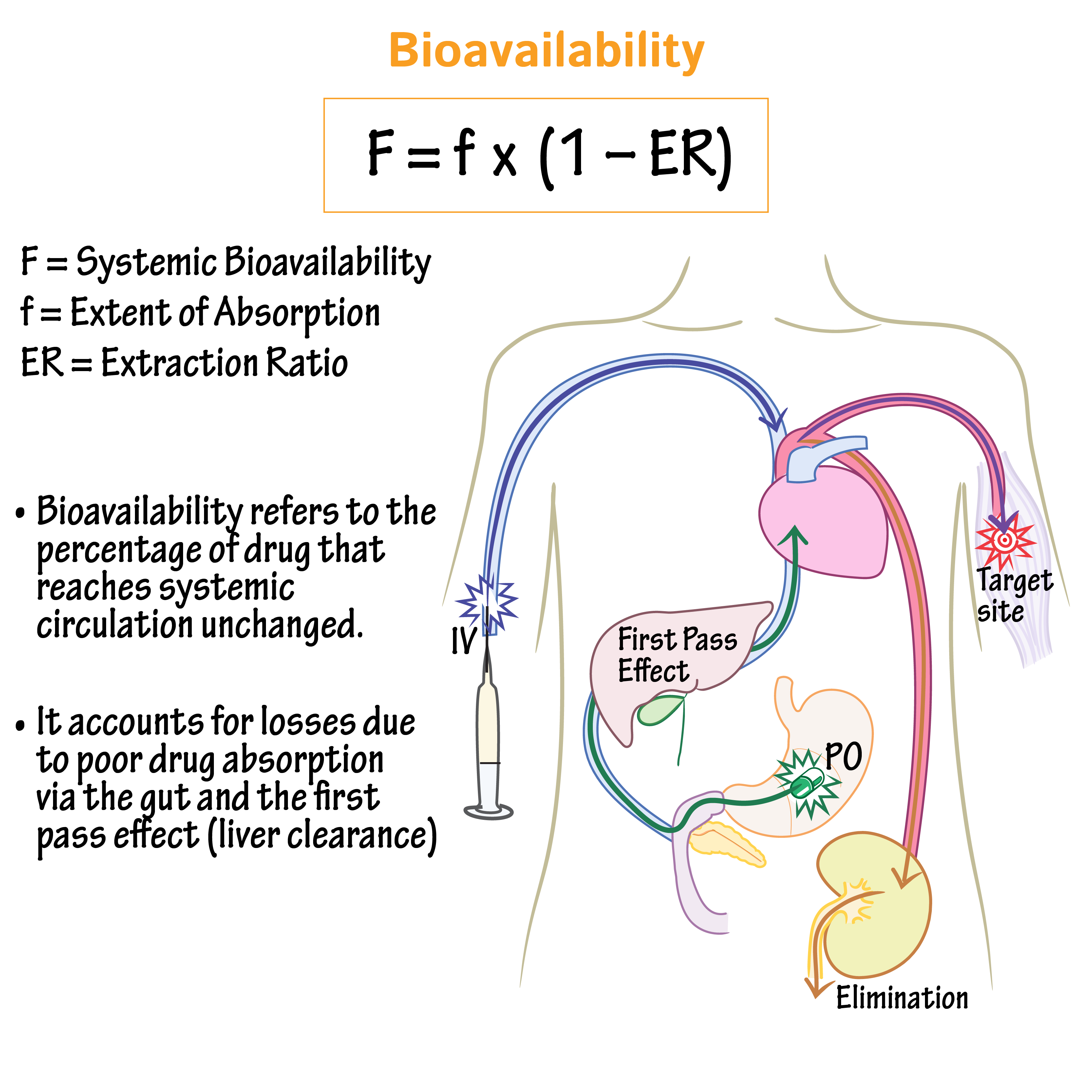 Clinical Pharmacology Glossary: Bioavailability | ditki medical & biological sciences