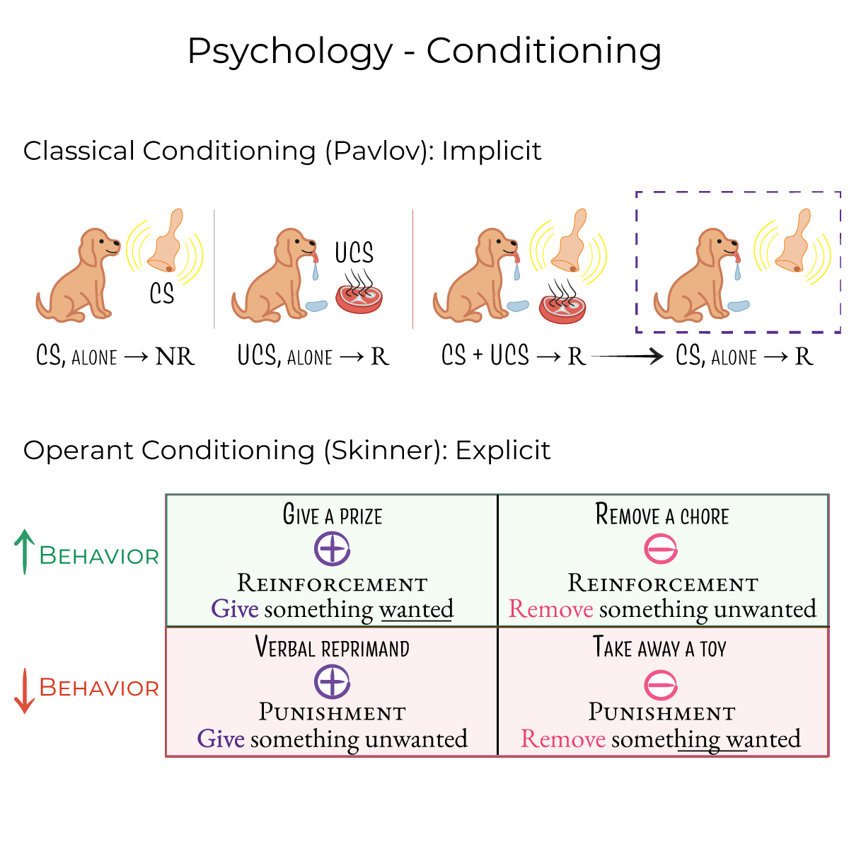 Operant Conditioning Vs Classical Conditioning Operant Conditioning Vs Classical Conditioning