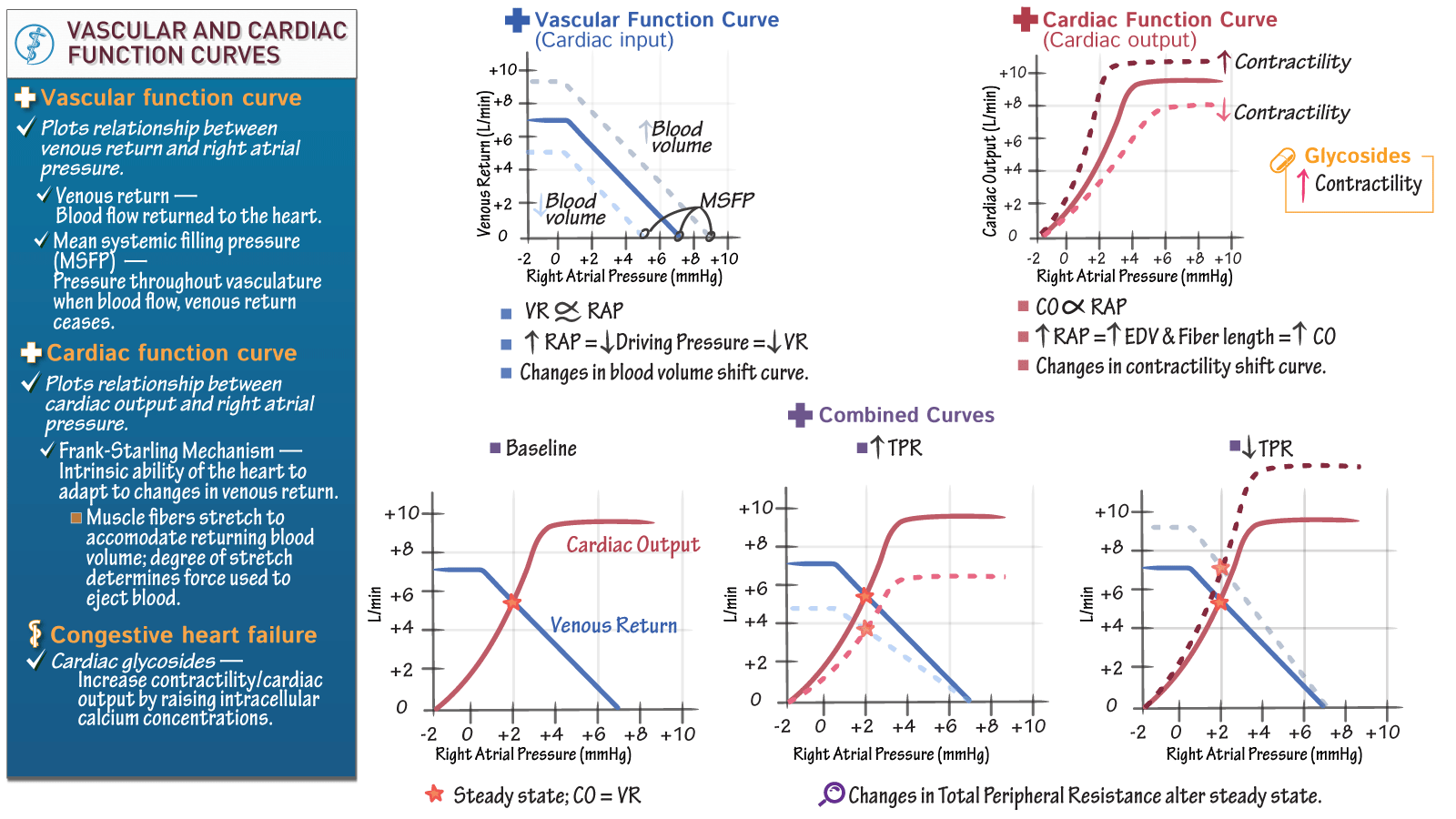 USMLE COMLEX Step 1 Vascular And Cardiac Function Curves Ditki USMLE COMLEX Step 1 Vascular And Cardiac Function Curves Ditki