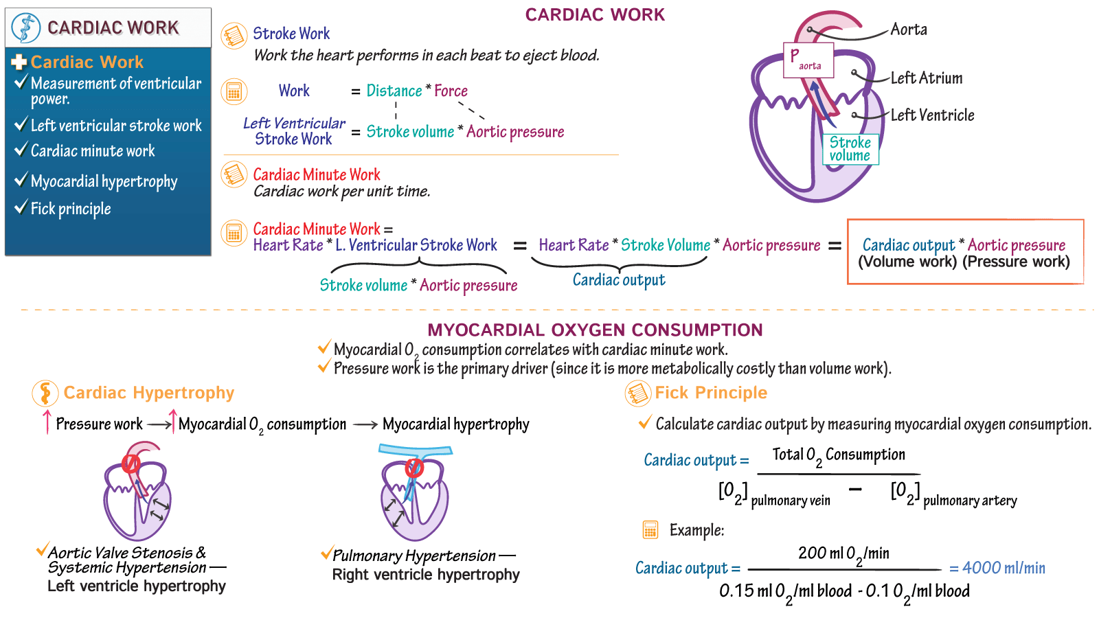 Physiology: Cardiac Work & Oxygen Consumption | ditki medical ...