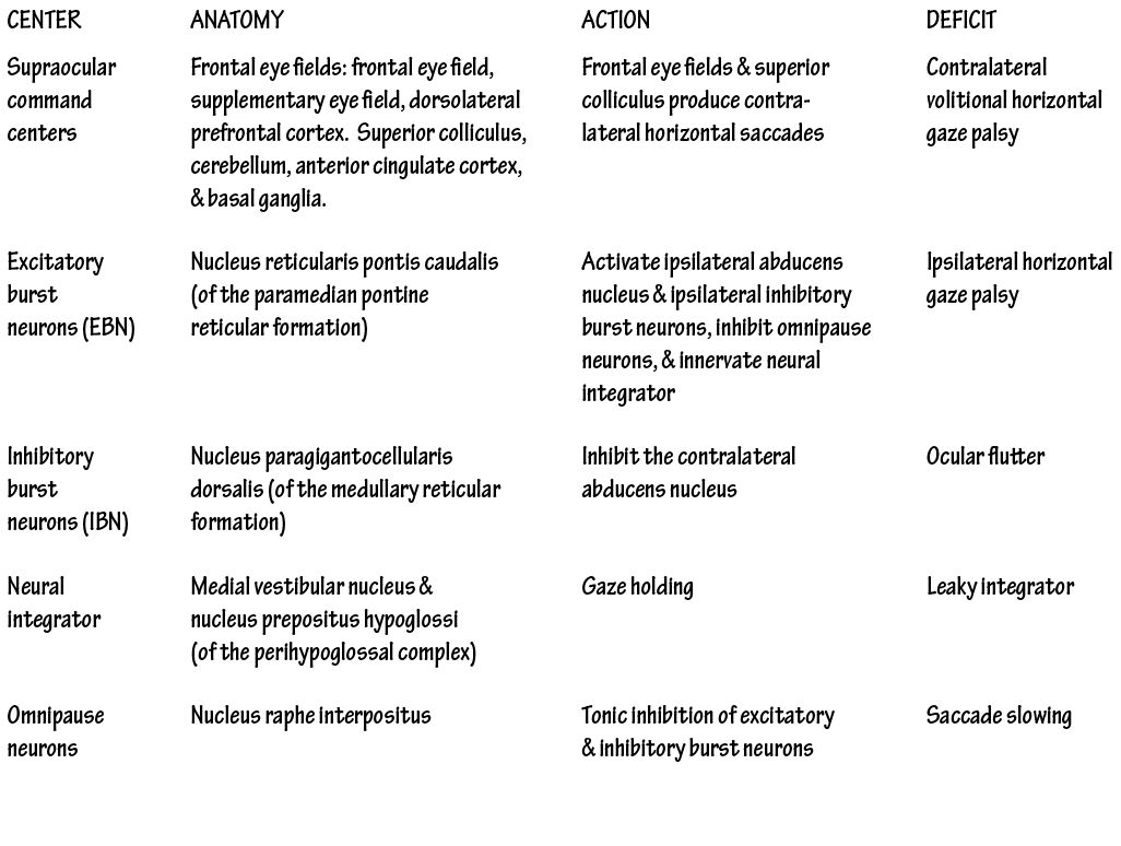 Neuroanatomy: Horizontal Saccades: Details | ditki medical & biological ...