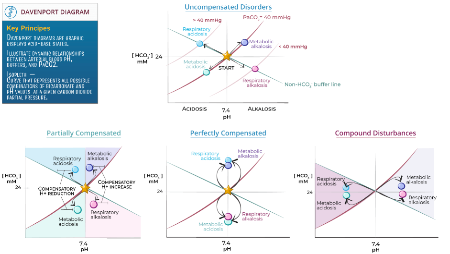 Physiology: Davenport Diagram | ditki medical & biological sciences