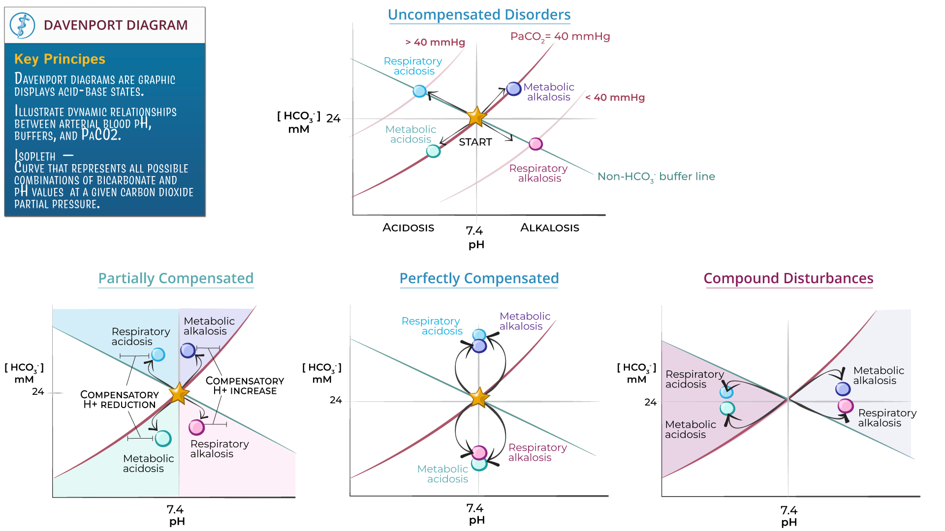 Physiology: Davenport Diagram | ditki medical & biological sciences