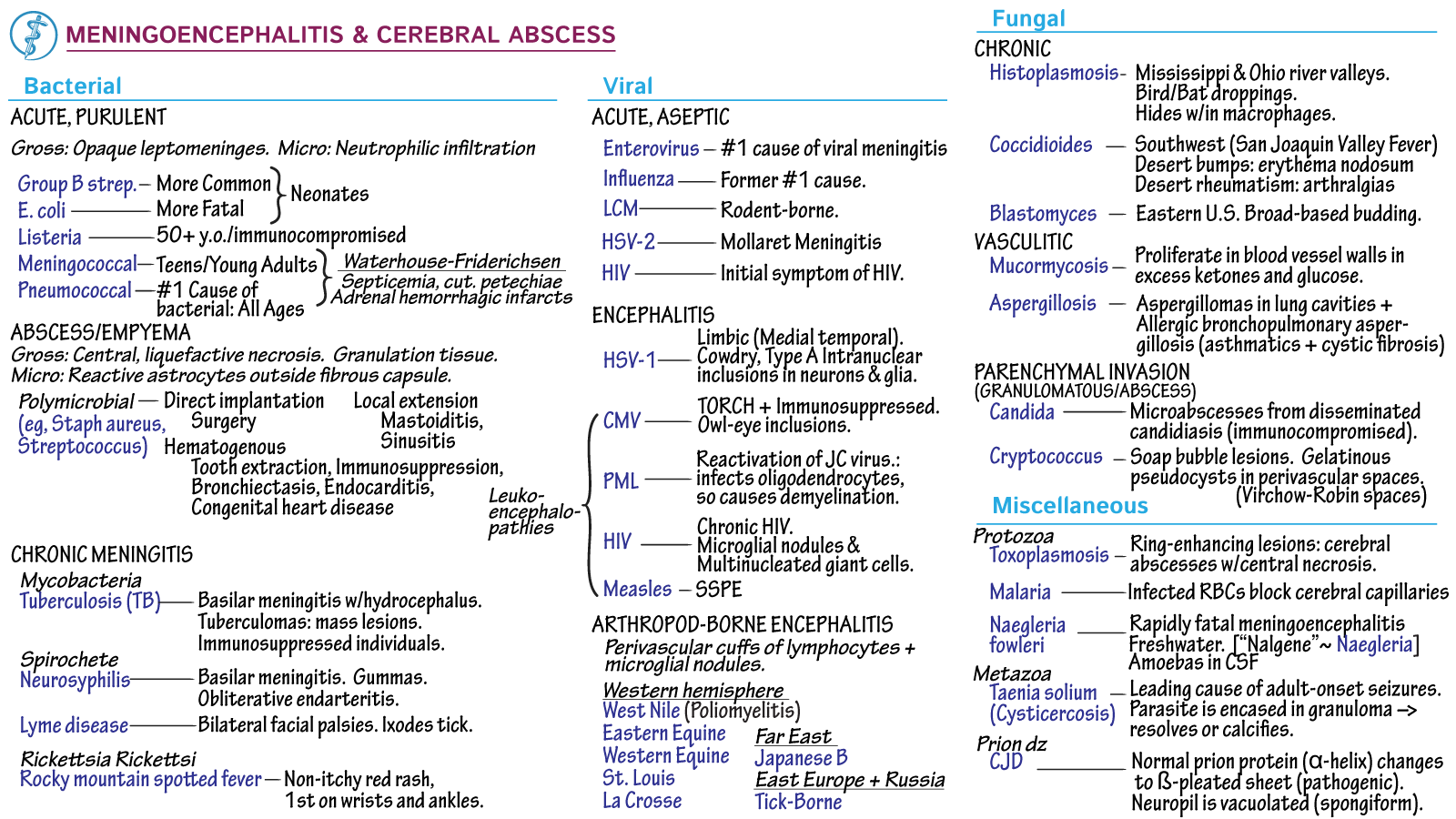 Clinical Pathology: Meningoencephalitis - Microorganisms | ditki ...