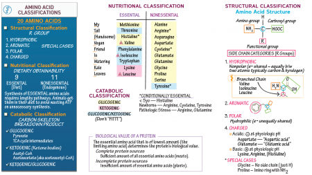 Biochemistry: Amino Acid Classification Systems | ditki medical ...