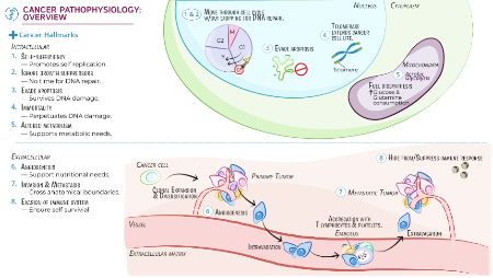 Clinical Pathology: Cancer Pathophysiology Overview | ditki medical ...