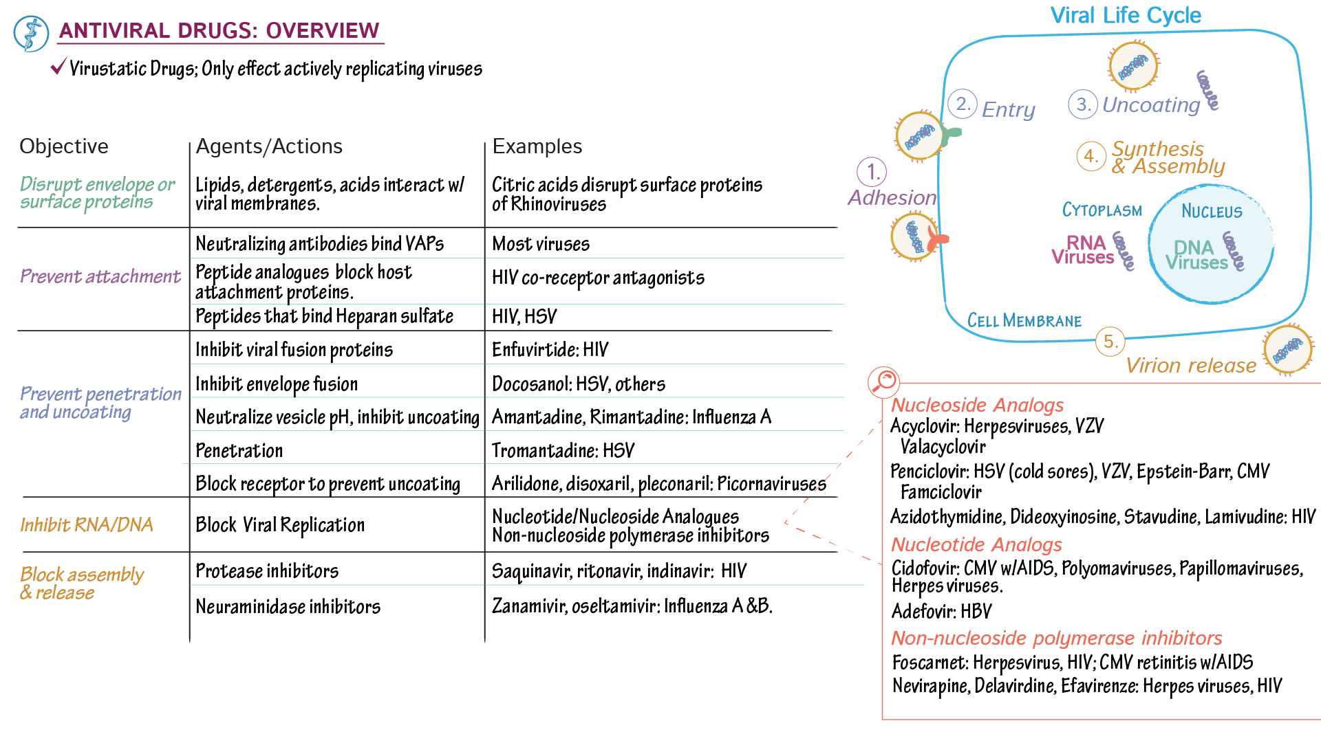 Immunology / Microbiology: Anti-Viral Agents - Overview | Draw It to ...