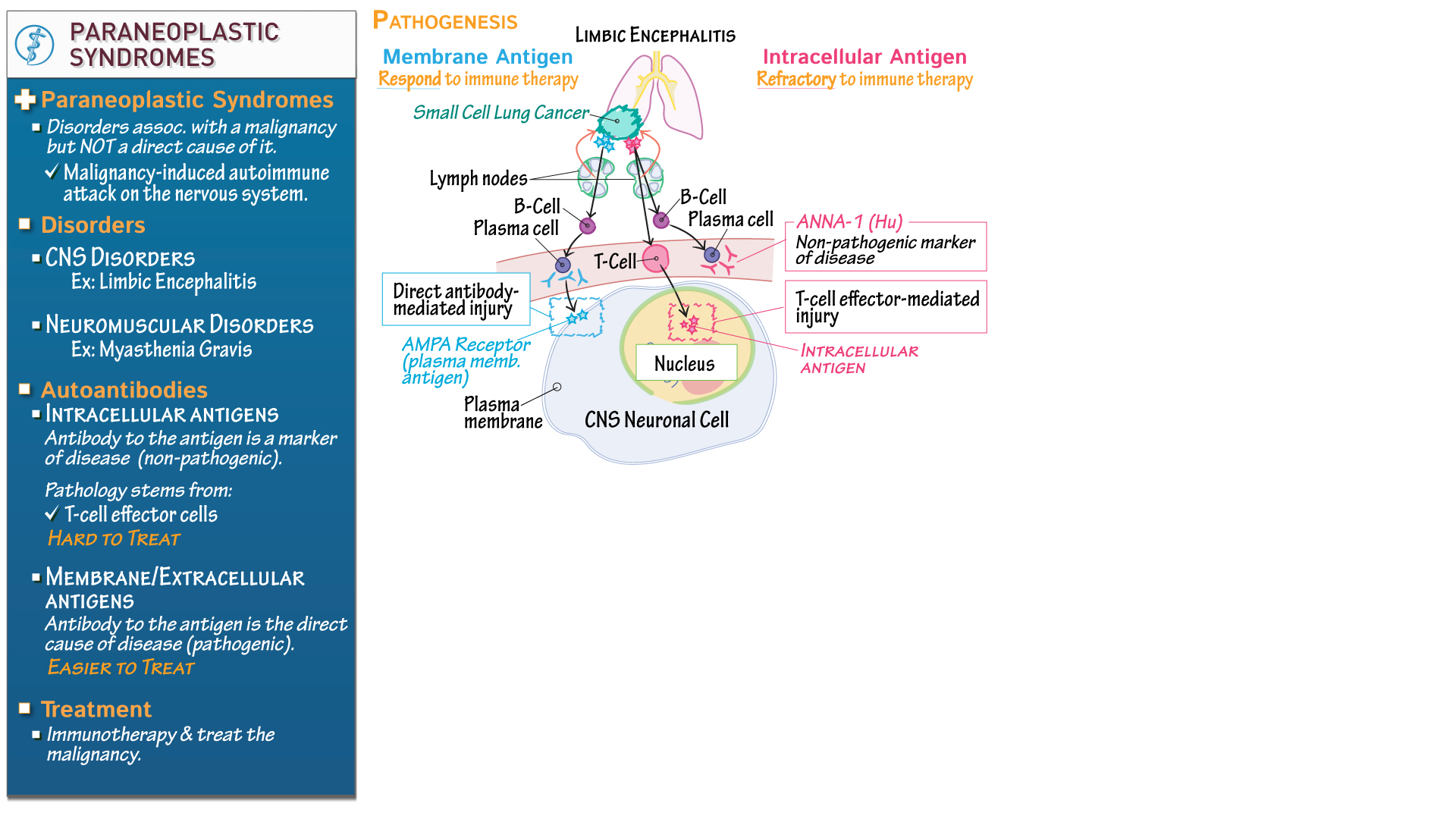 Paraneoplastic Disease, Part 1: Pathogenesis | ditki medical and ...