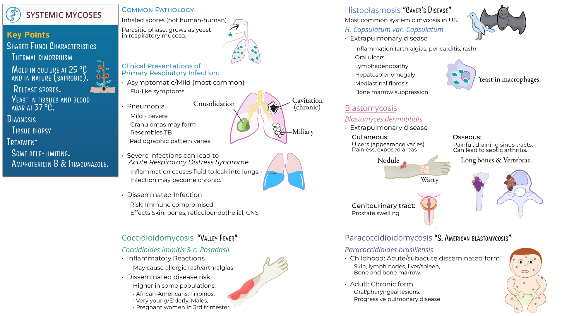 Immunology / Microbiology: Systemic Mycoses | ditki medical ...