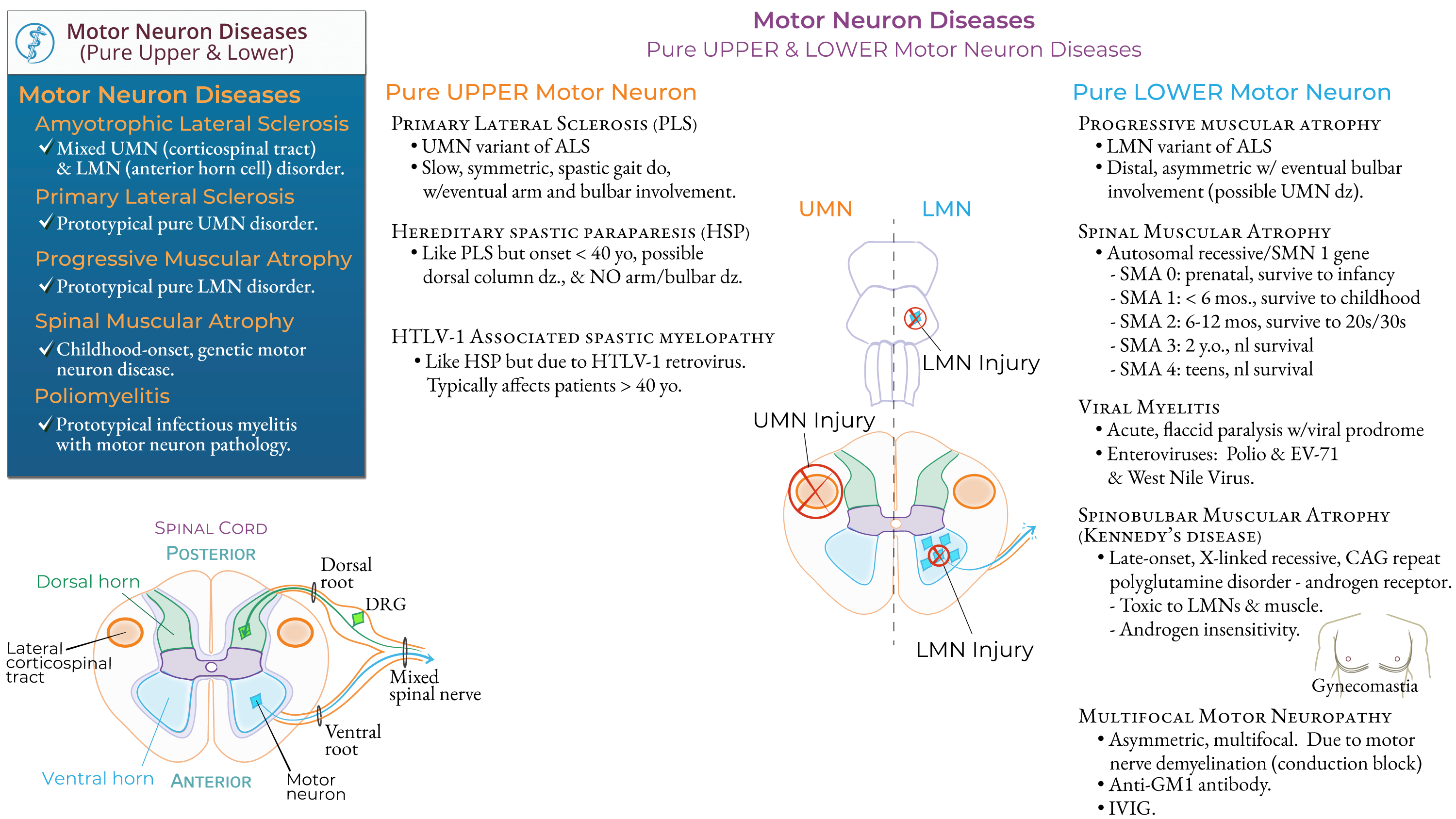 Clinical Medicine: Spinal Muscular Atrophy & Other Motor Neuron ...