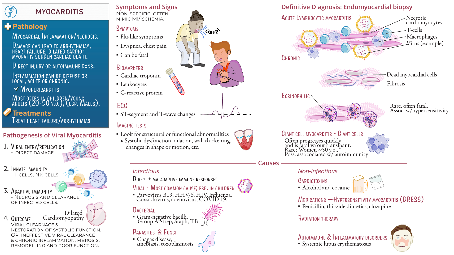 Clinical Pathology Myocarditis Ditki Medical And Biological Sciences