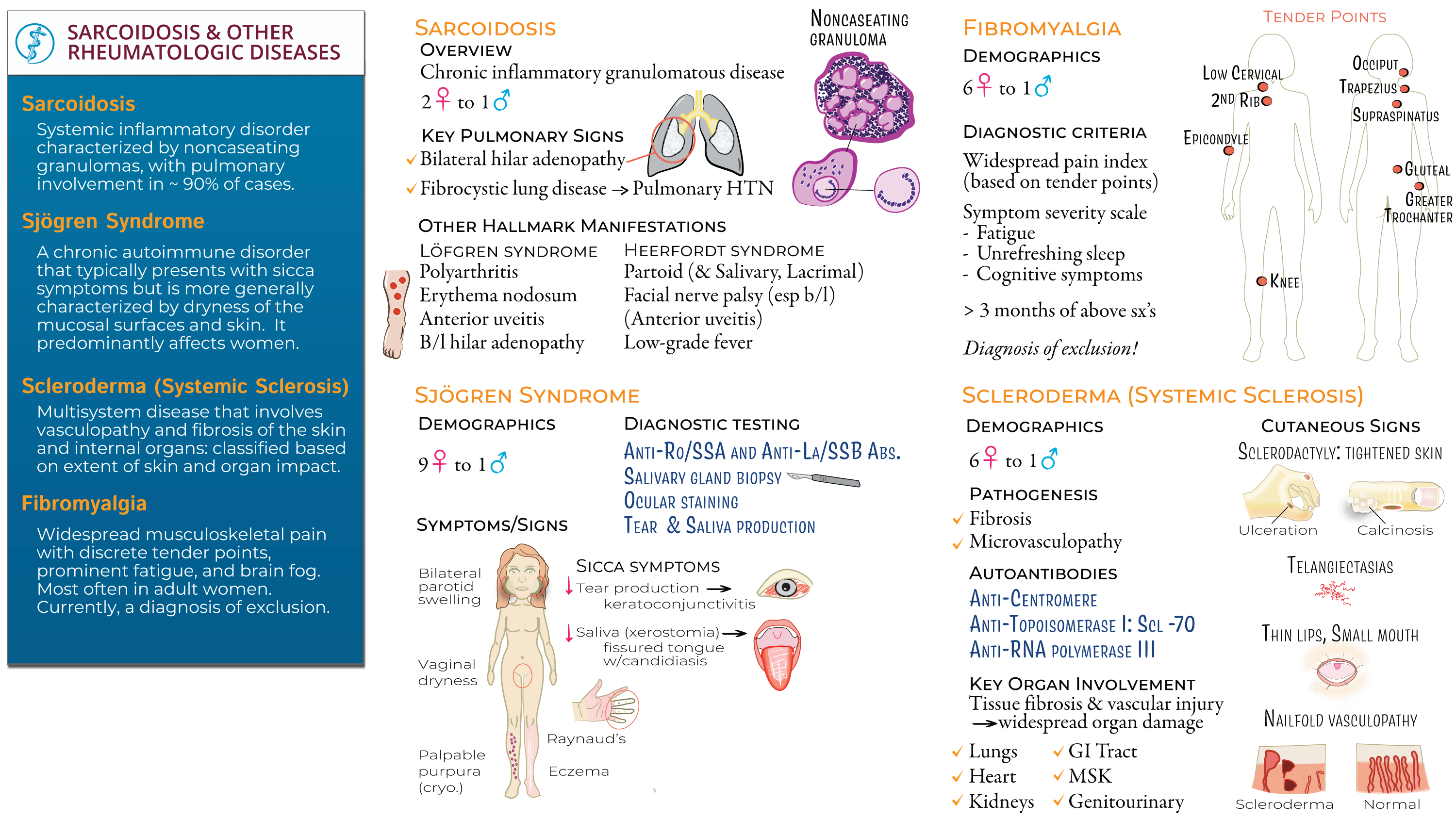 Clinical Pathology: Sarcoidosis, Sjögren's, Scleroderma, & Fibromyalgia ...