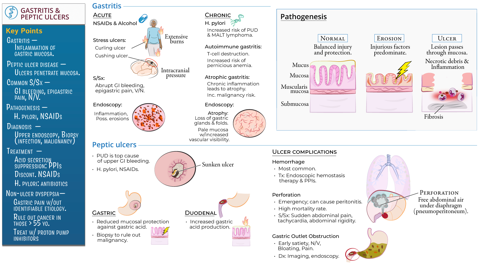 Peptic Ulcer Chemistry