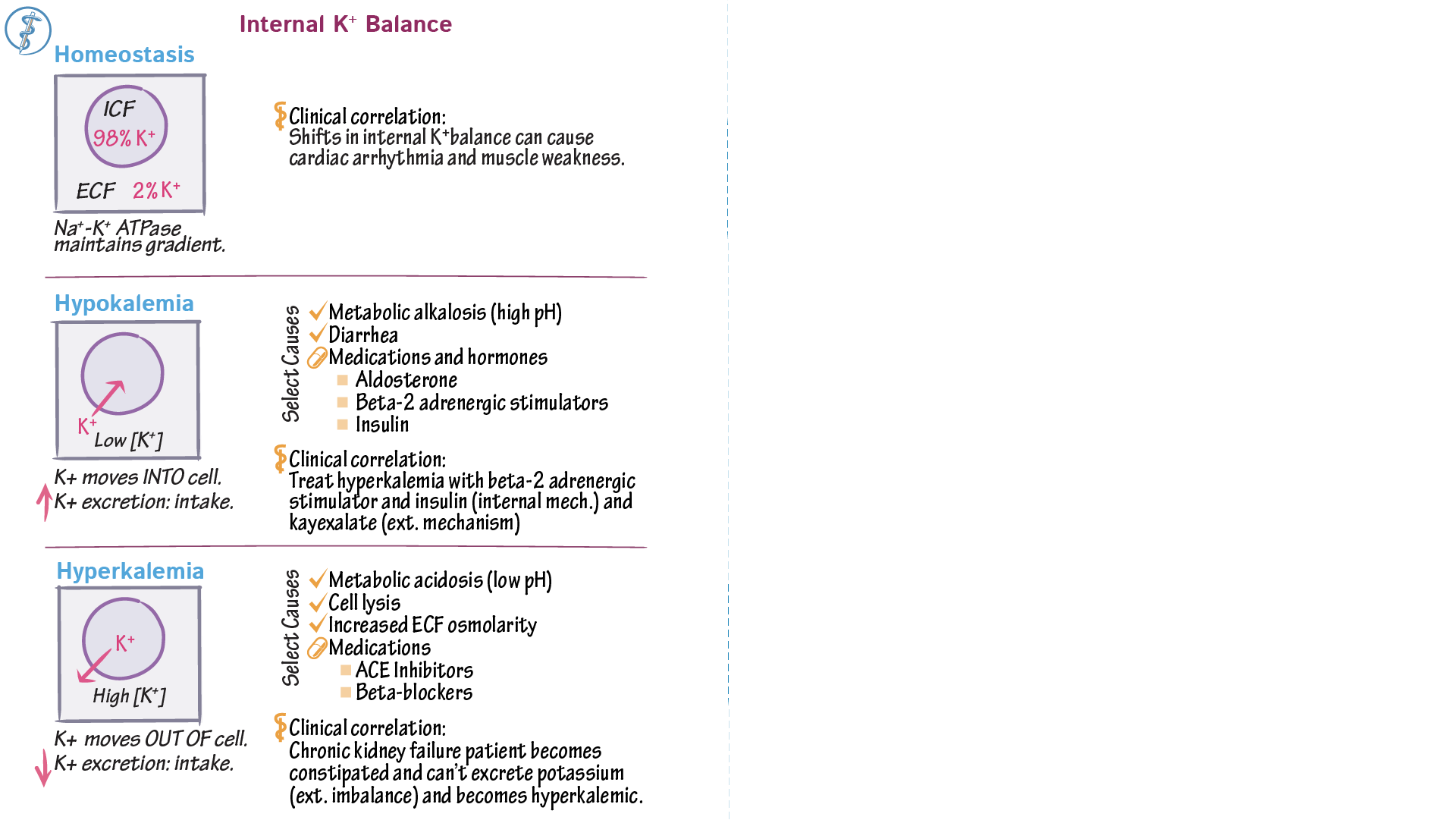 NRSE 6210 Pathophysiology in Nursing Practice: Internal Potassium ...