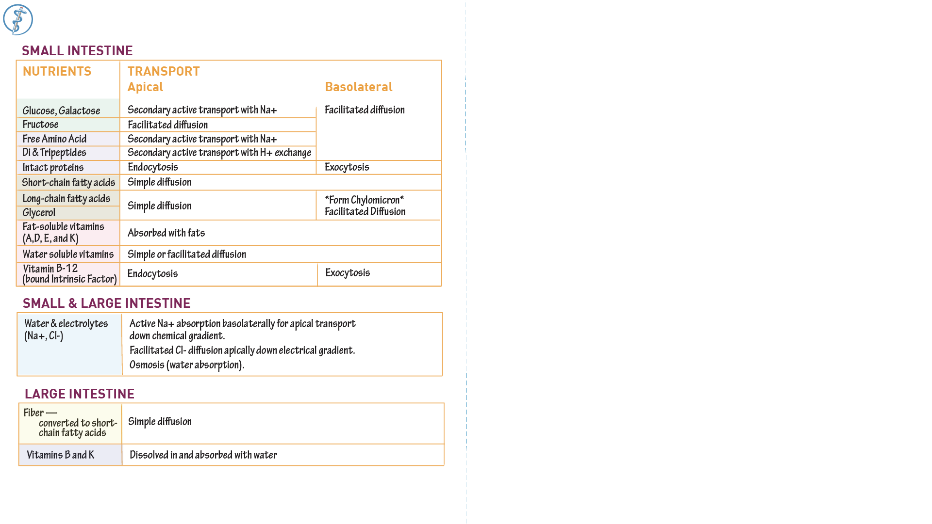 Gastrointestinal System: Intestinal Absorption - Table | ditki medical ...
