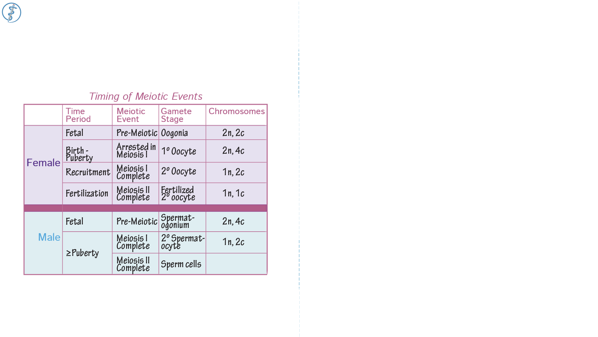 Reproductive System: Summary of Meiotic Events - Table | ditki medical ...