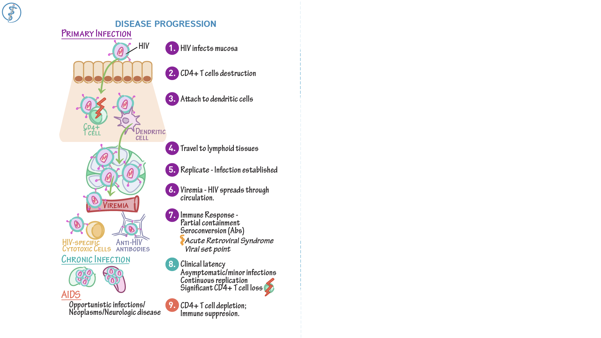 Anatomy & Physiology: HIV Progression | ditki medical & biological sciences