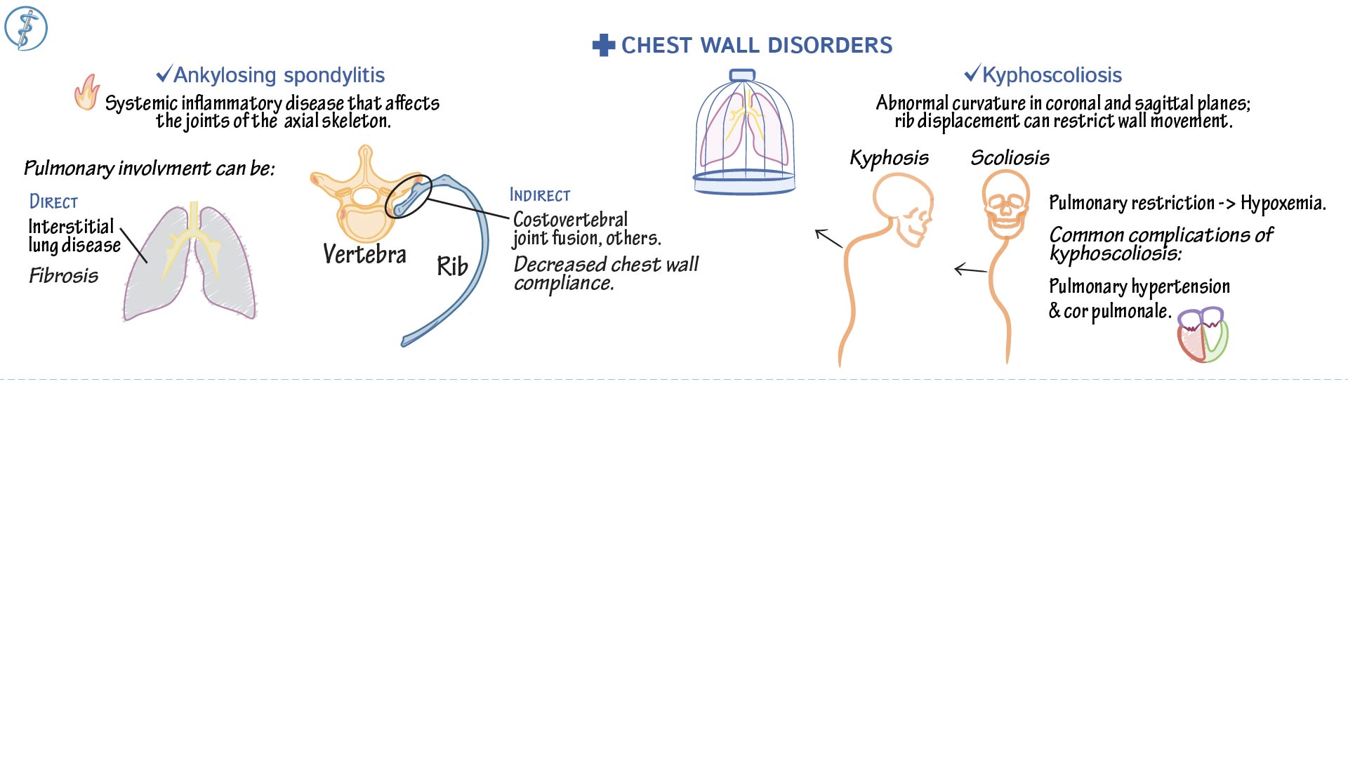 CRNA 510: Pathophysiology: Chest Wall Disorders | ditki medical ... CRNA 510: Pathophysiology: Chest Wall Disorders | ditki medical ...