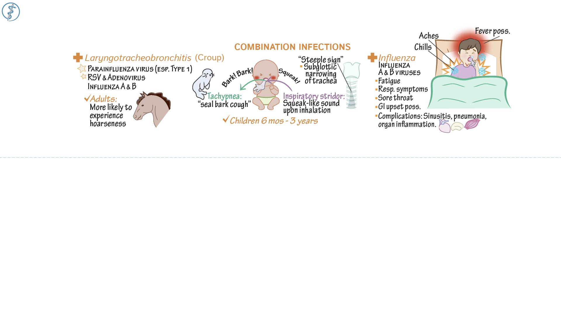 Clinical Pathology: Croup & Influenza - Mixed resp. tract infections ...