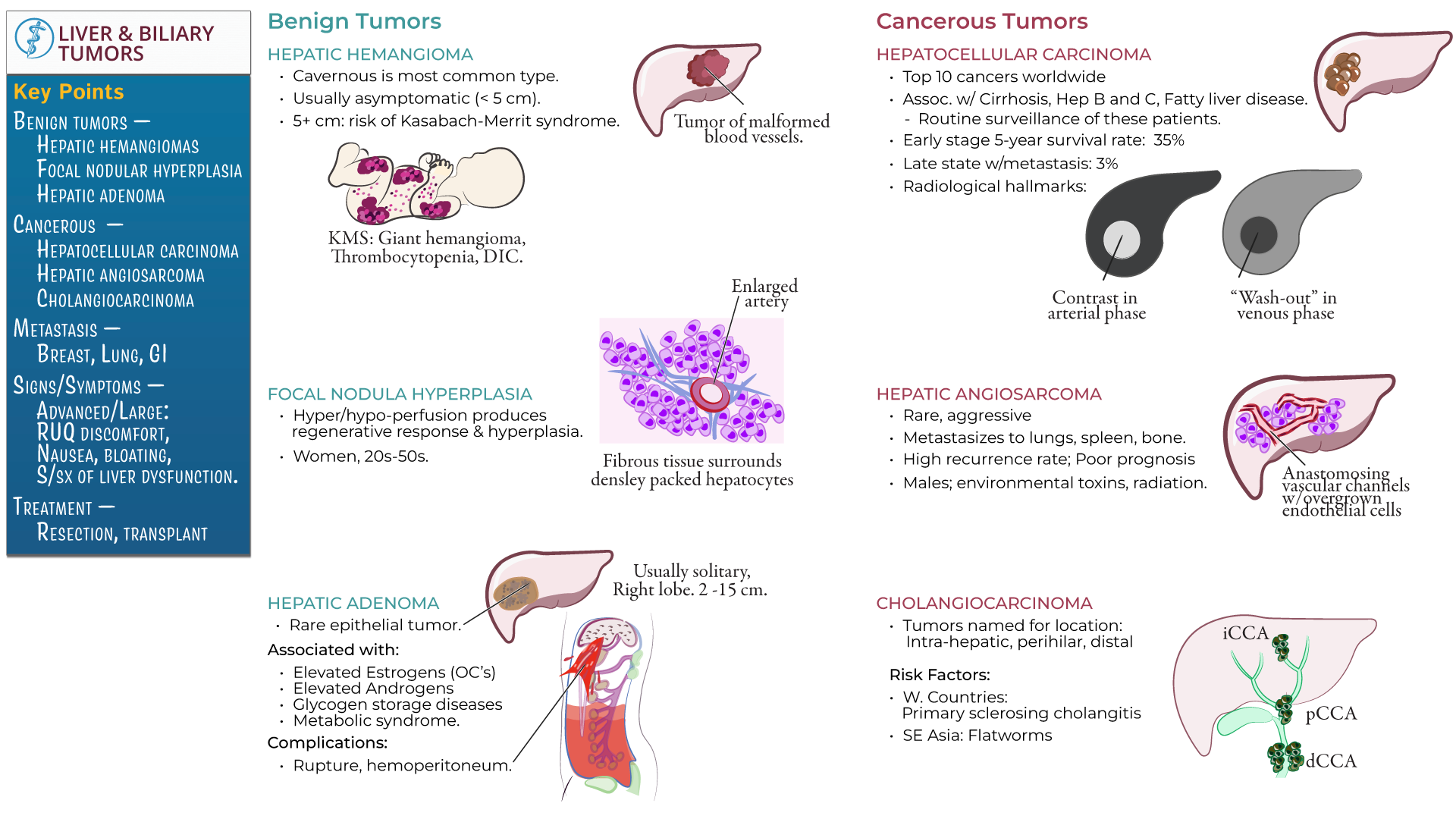 Clinical Pathology: Liver and Biliary Tract Tumors | ditki medical ...