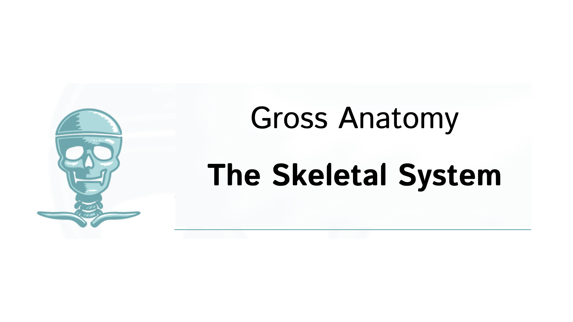 The Muscular System Slides Ditki Medical And Biological Sciences the-muscular-system-slides-ditki-medical-and-biological-sciences