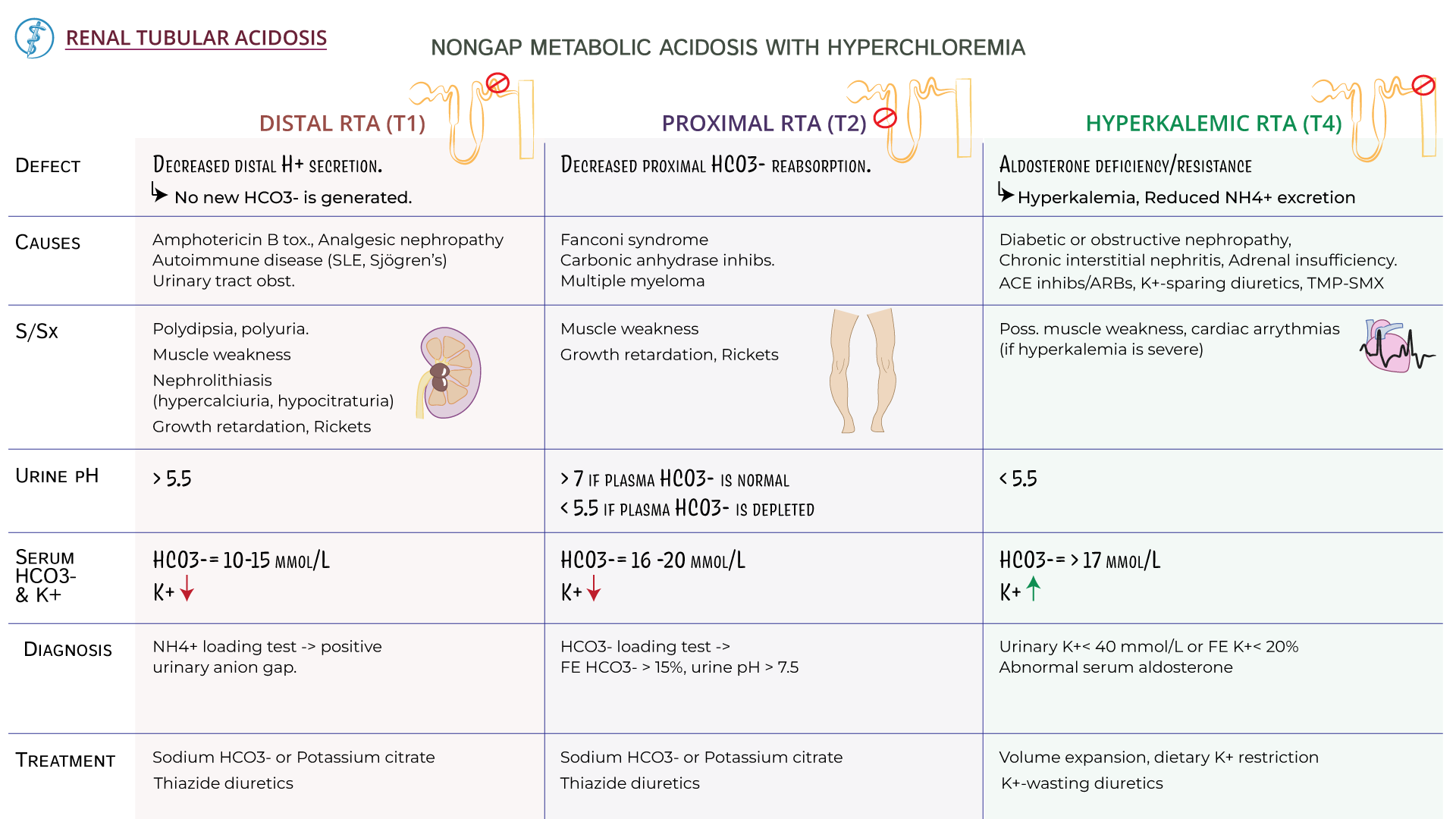 USMLE / COMLEX - Step 1: Renal Tubular Acidosis | ditki medical ...