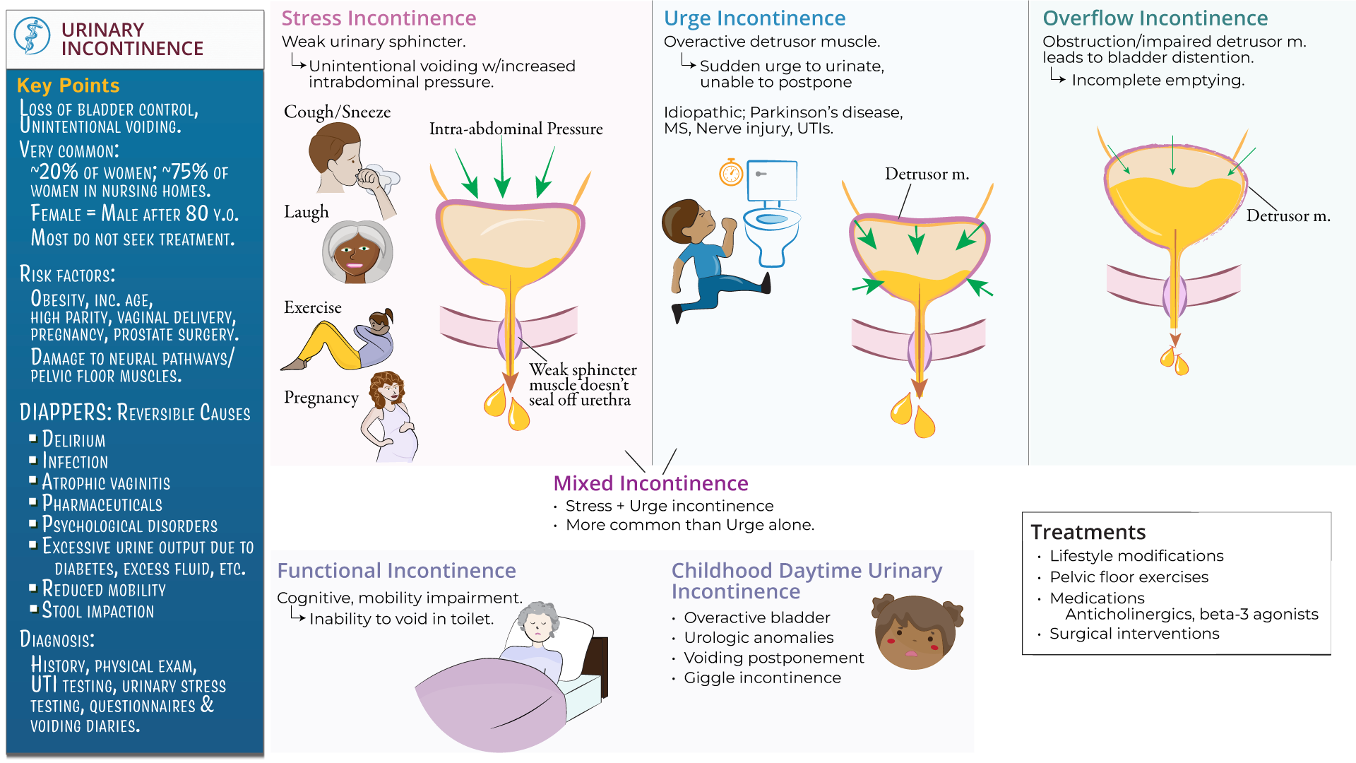 CRNA 510: Pathophysiology: Urinary Incontinence | ditki medical & biological sciences