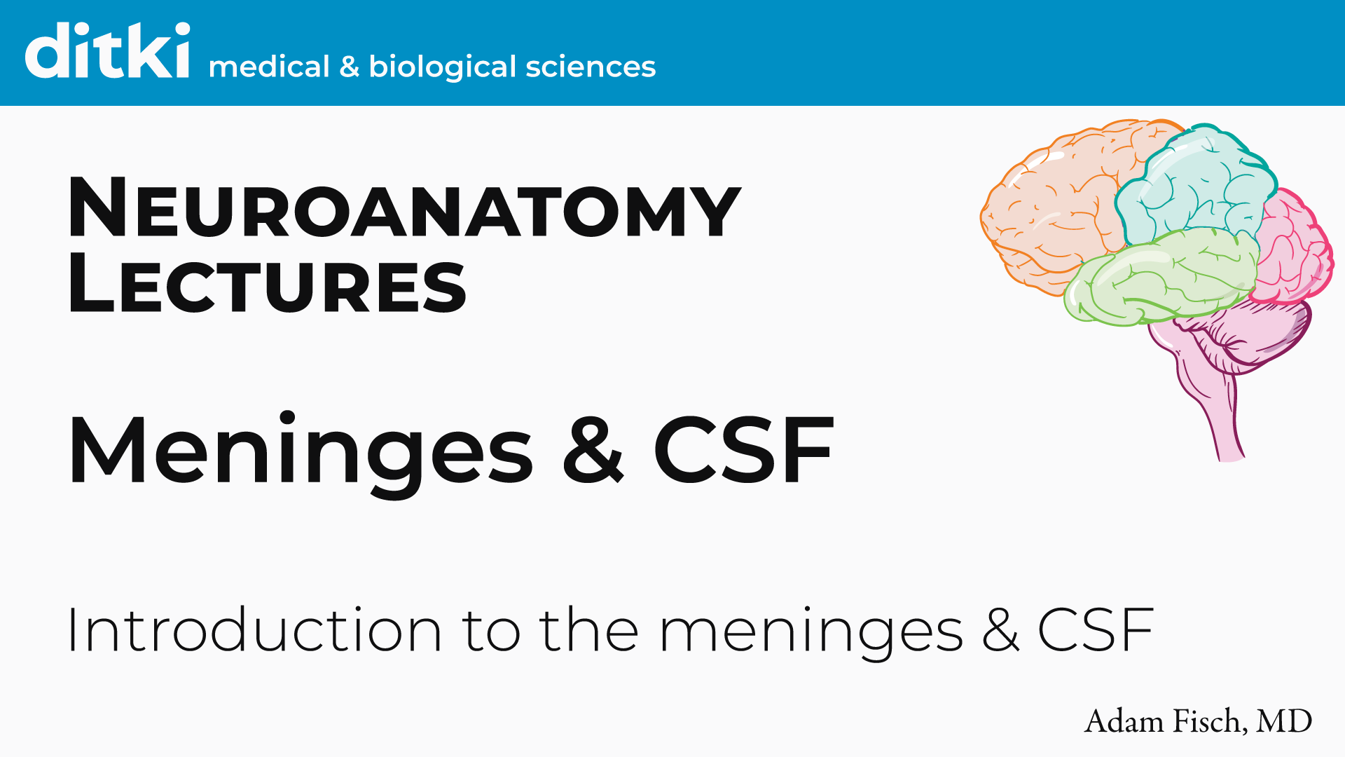Neuroanatomy: Meninges & CSF - Slides | ditki medical & biological sciences