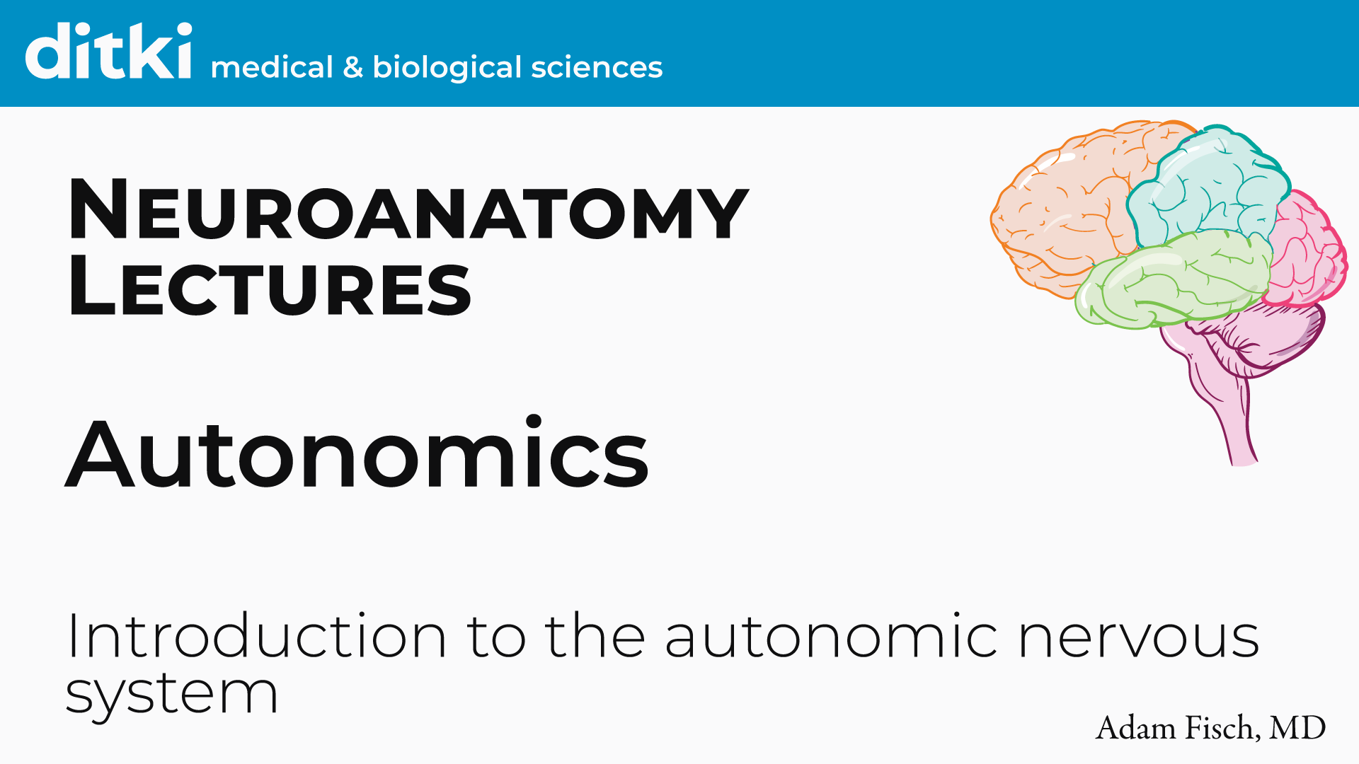 Neuroanatomy: Autonomics Lecture | ditki medical & biological sciences