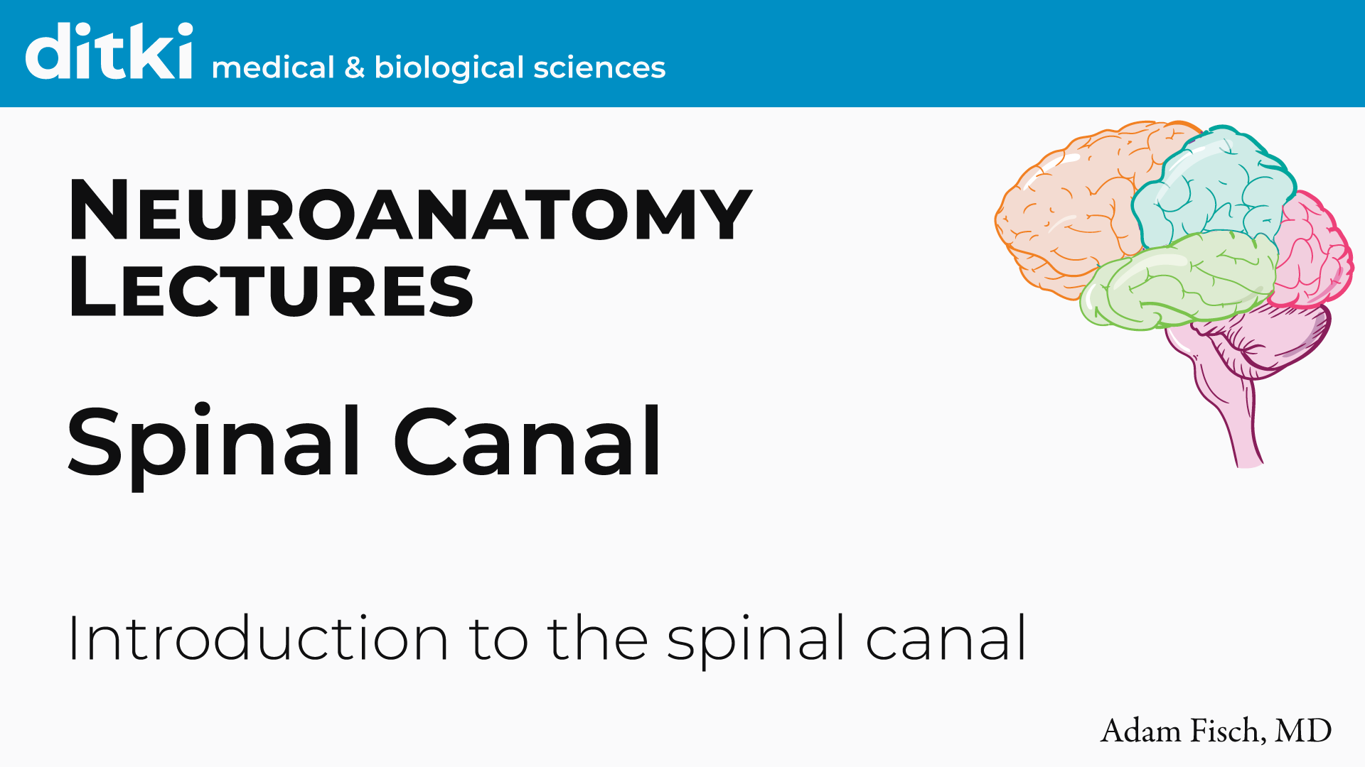 Neuroanatomy: Spinal Canal Lecture | ditki medical & biological sciences
