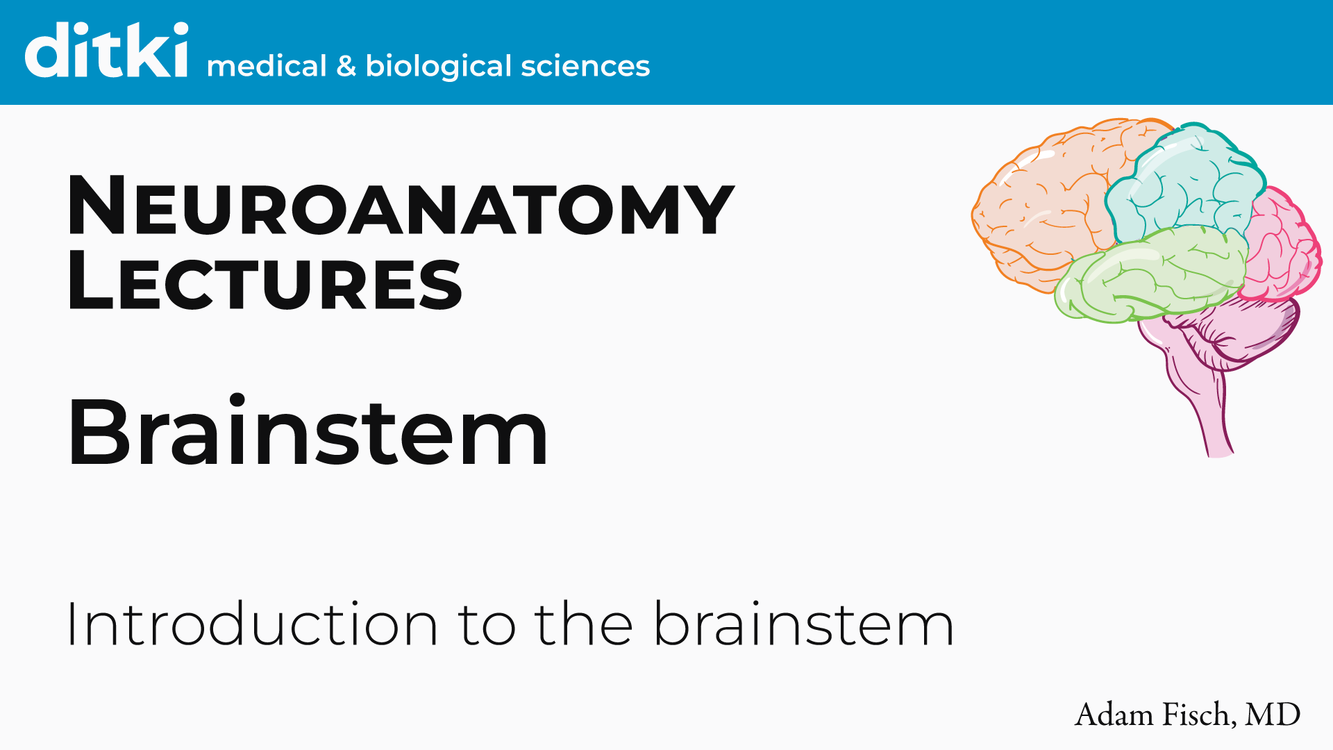 Neuroanatomy: Brainstem Lecture | ditki medical & biological sciences