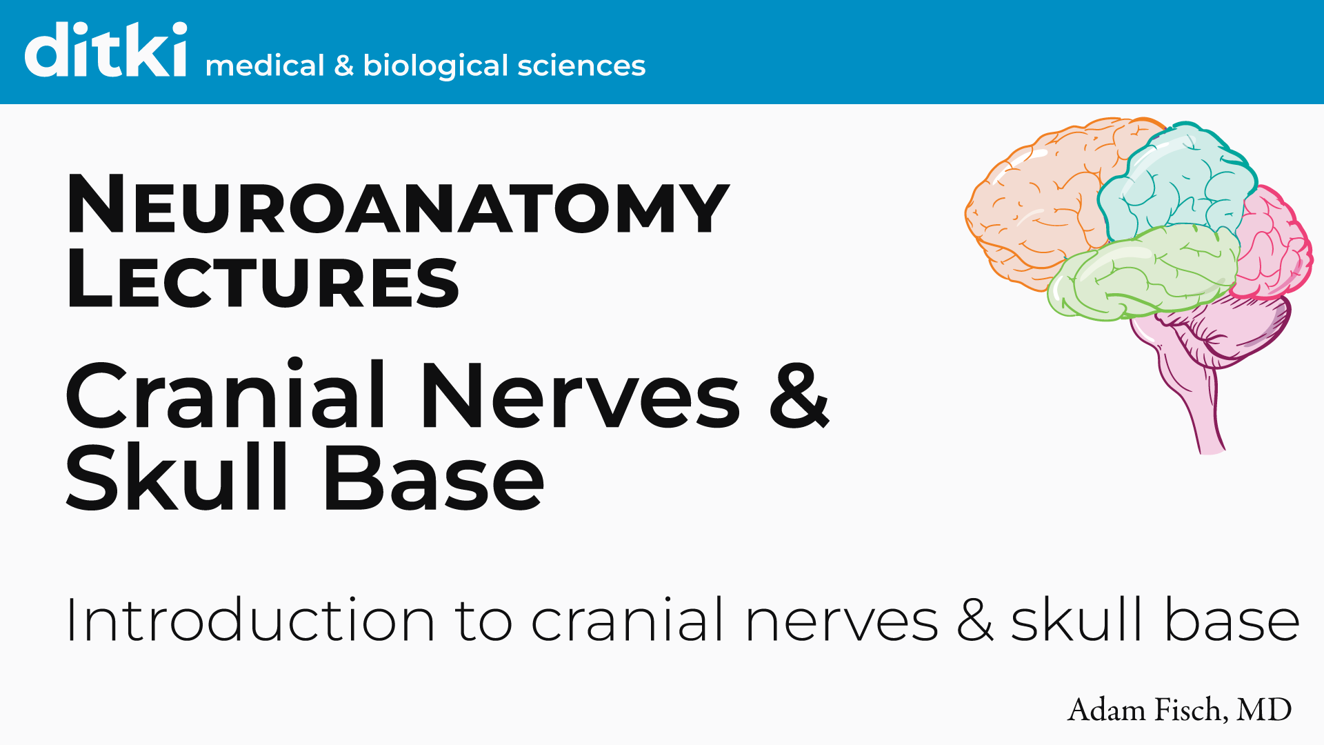Neuroanatomy: Cranial Nerves - Slides | ditki medical & biological sciences