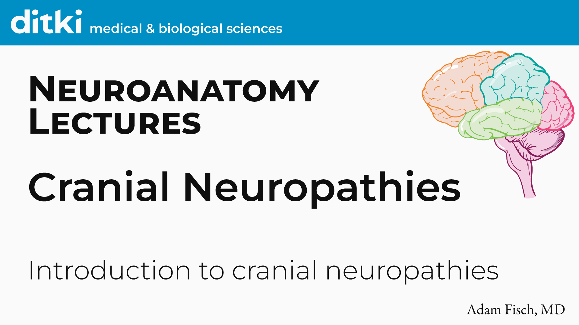 Neuroanatomy: Cranial Neuropathies | ditki medical & biological sciences