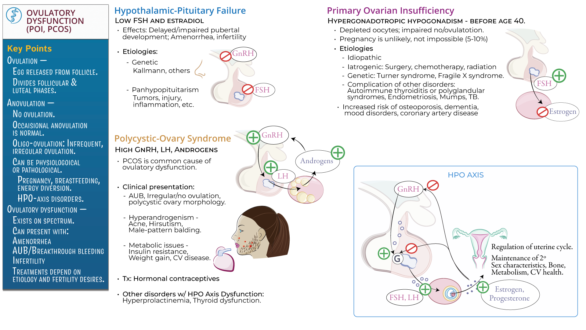 Clinical Pathology: Ovulatory Dysfunction, PCOS & POI | ditki medical ...