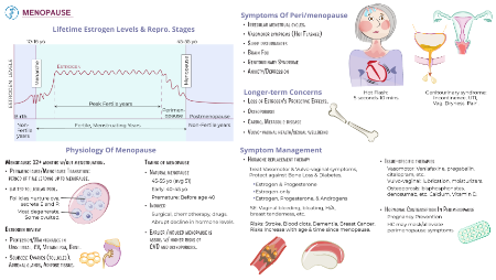 Physiology: Menopause | ditki medical & biological sciences