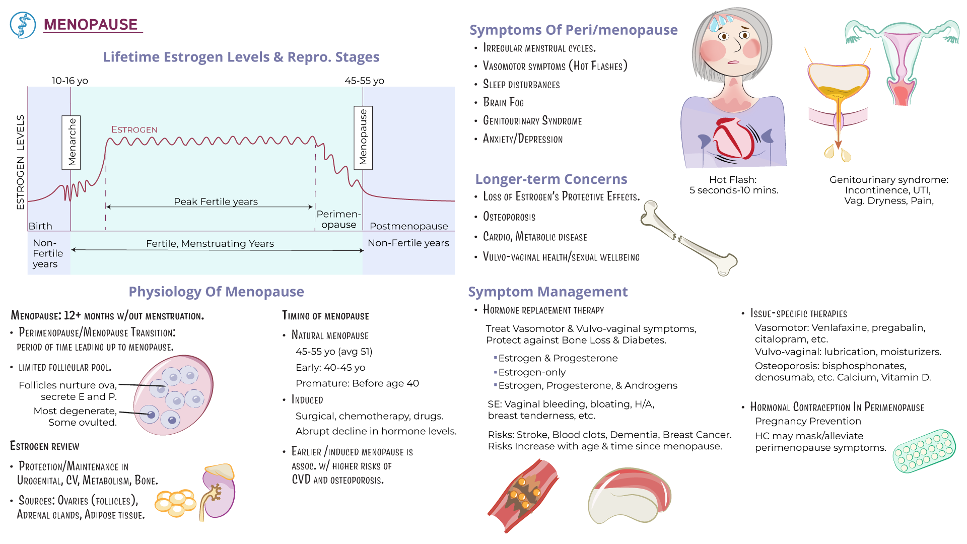 Physiology: Menopause | ditki medical & biological sciences