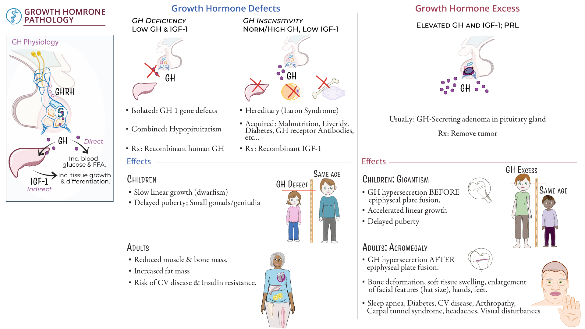 Clinical Pathology: Growth Hormone Pathology | ditki medical ...