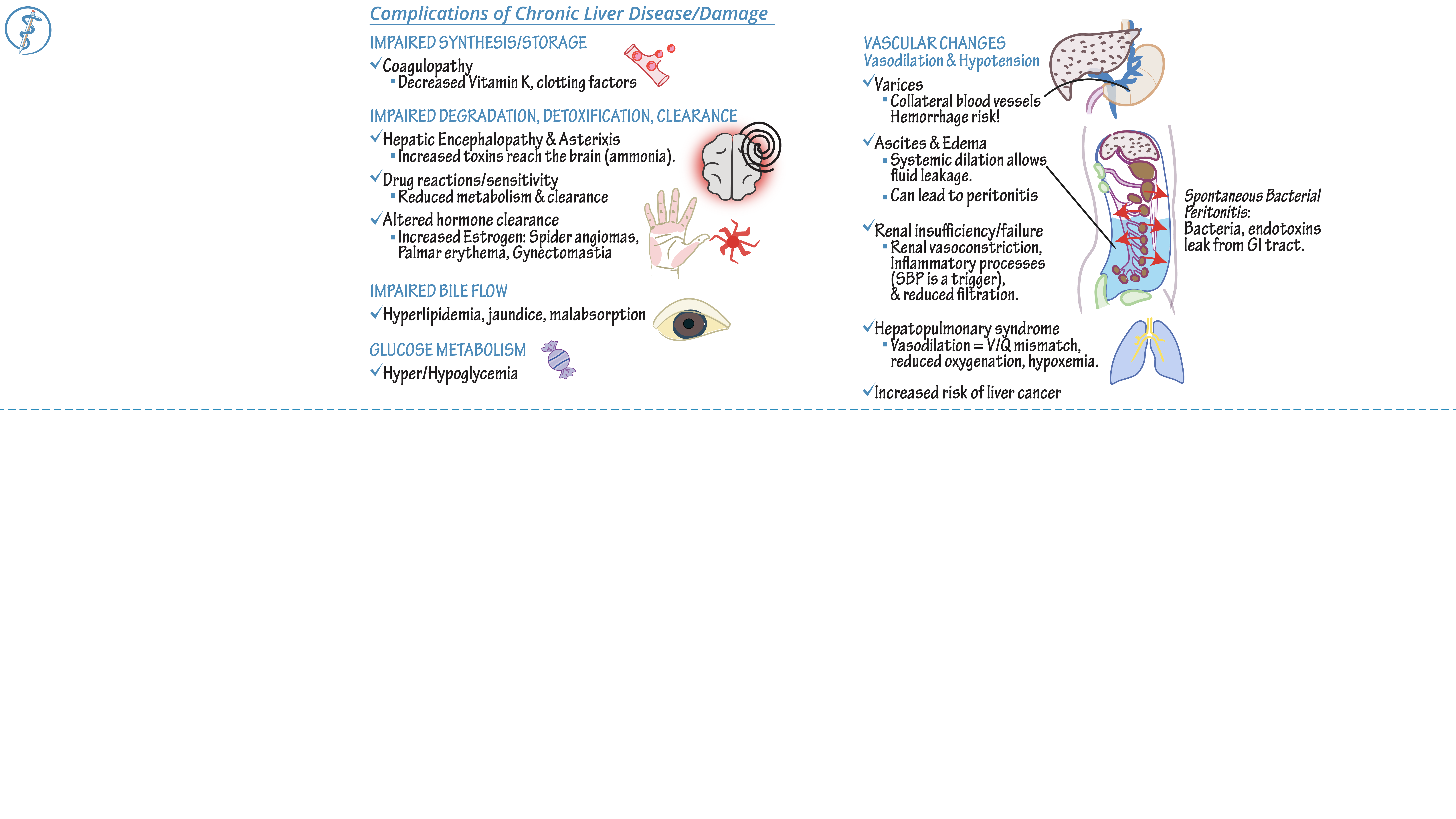 Clinical Pathology: Chronic Liver Disease - Complications | ditki ...