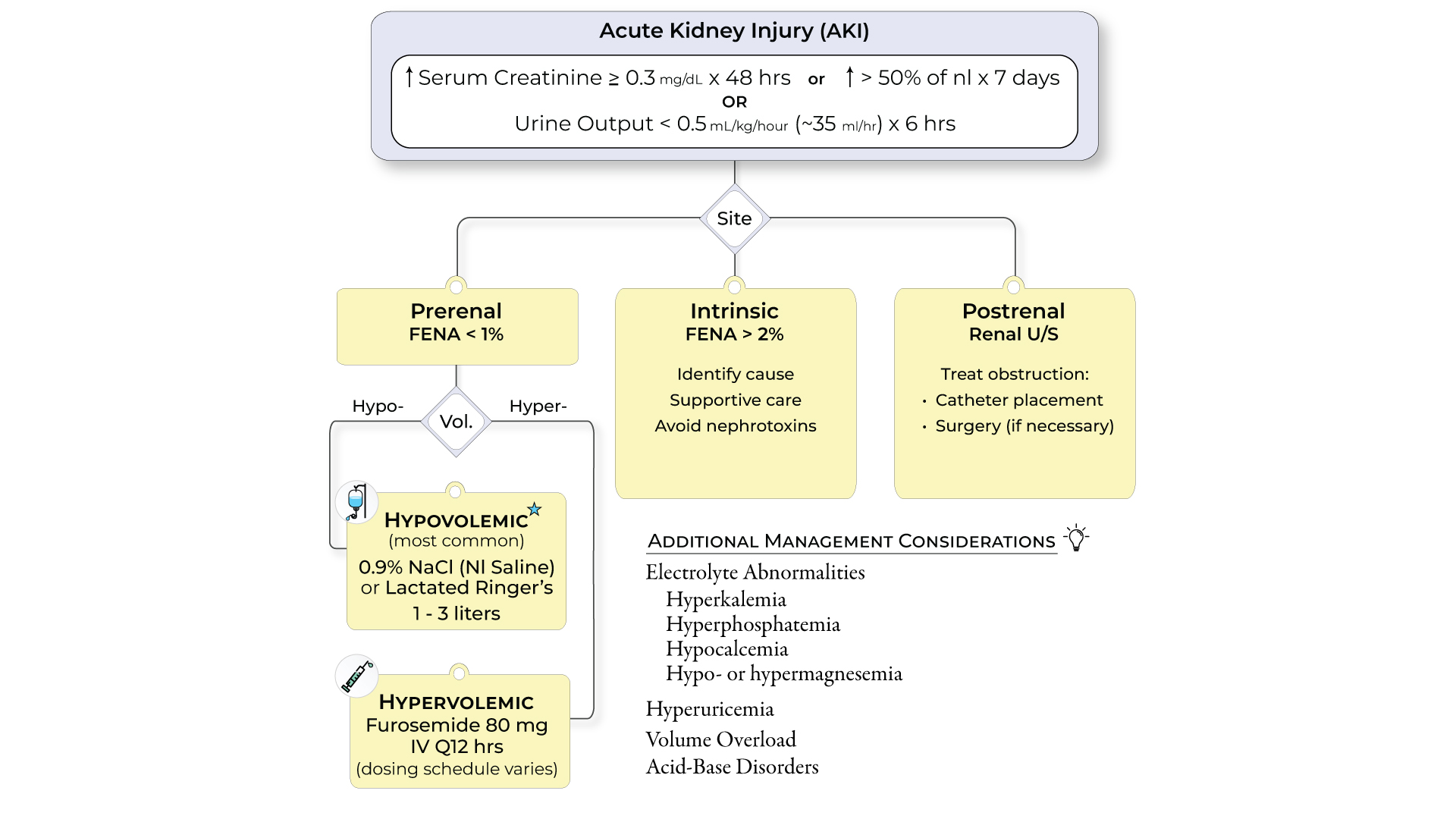 Clinical Medicine: Acute Kidney Injury Management | ditki medical ...
