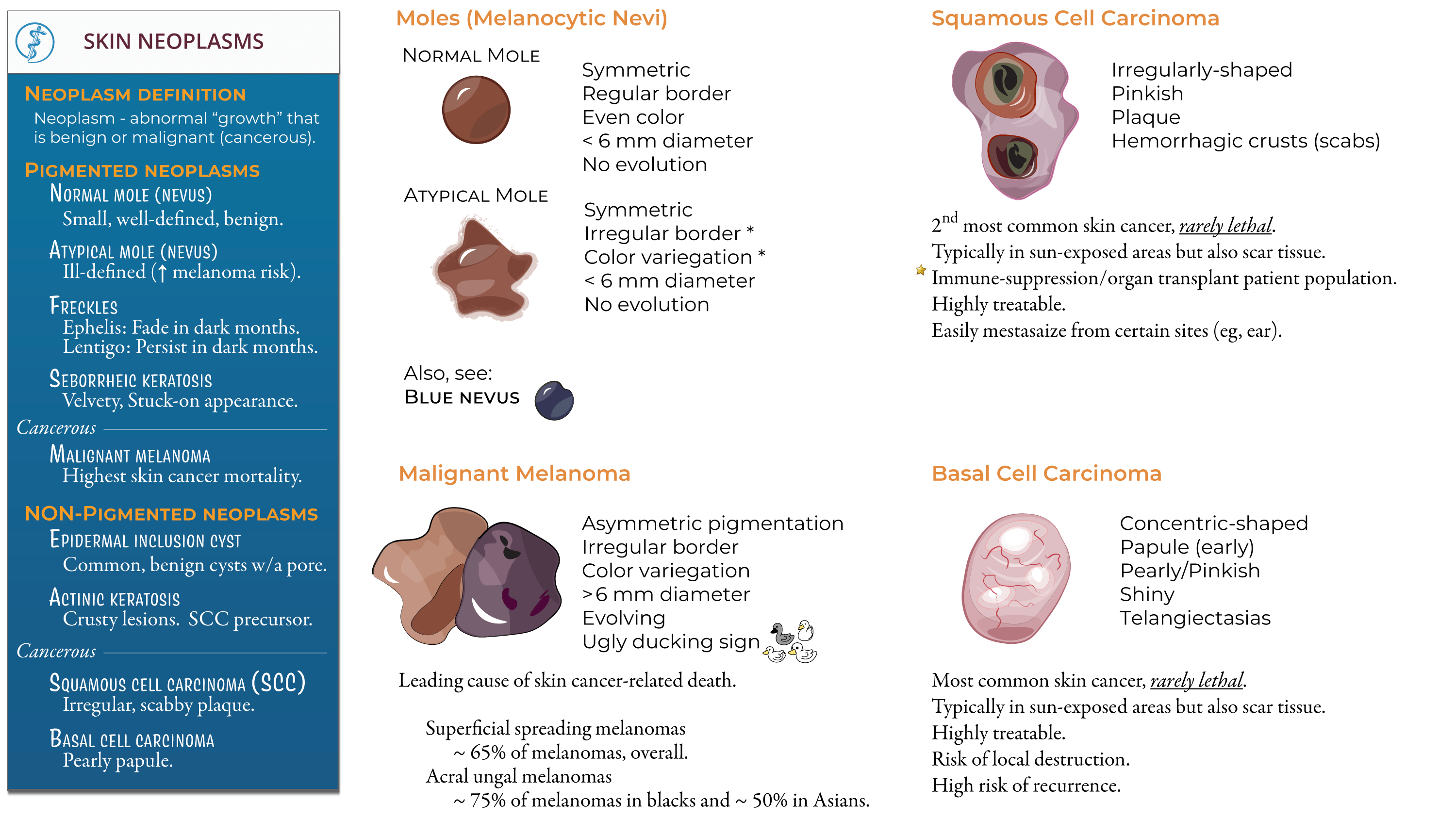 Clinical Medicine: Common Skin Cancers | ditki medical & biological sciences
