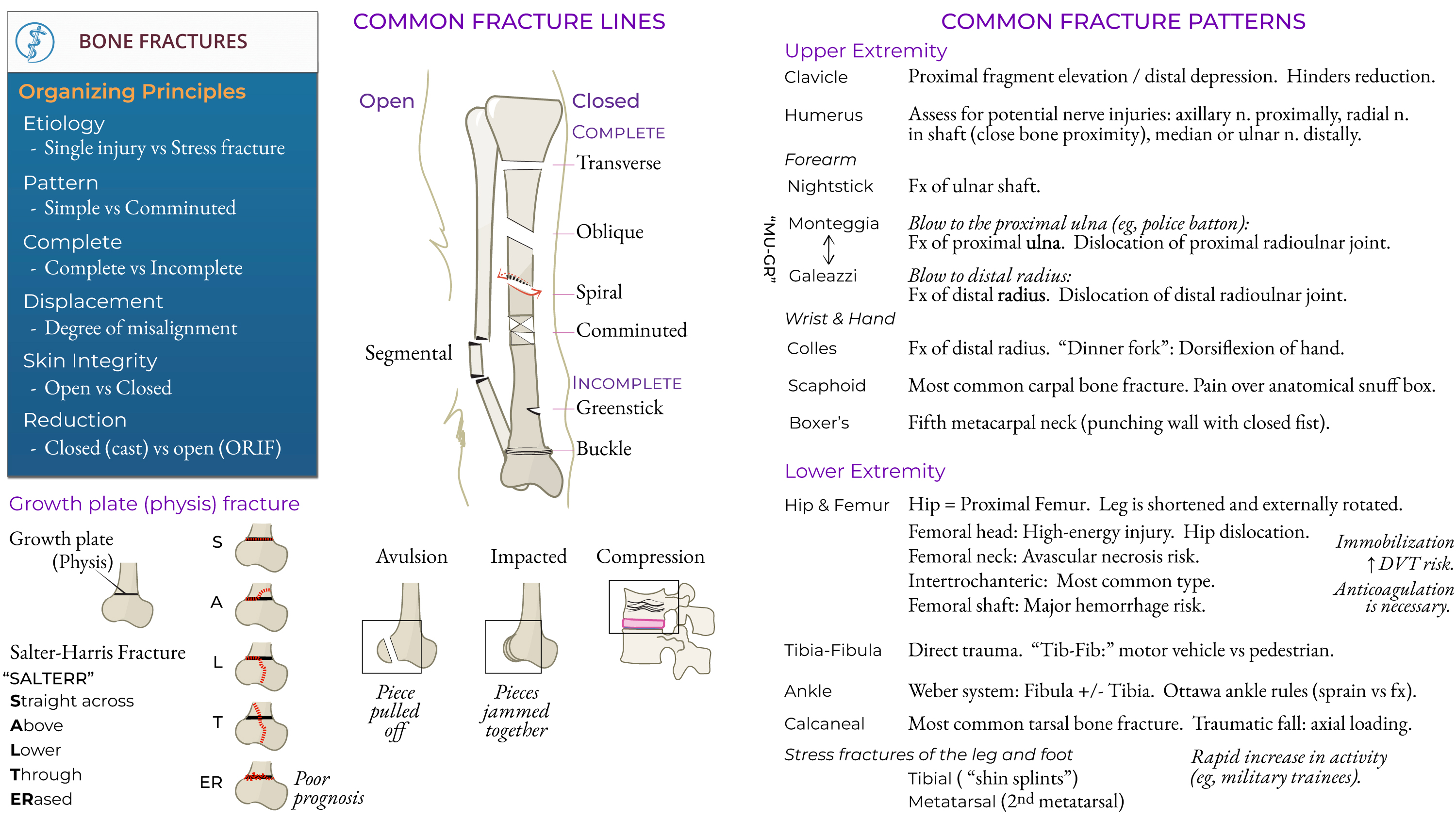 Clinical Pathology: Bone Fractures | ditki medical & biological sciences